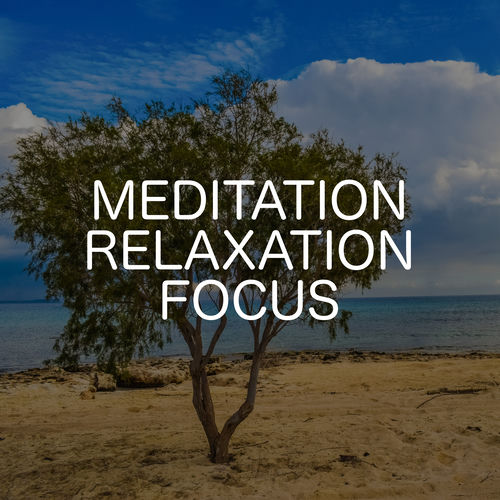 Meditation Relaxation Focus - Relaxing Chill Out Music | Deezer