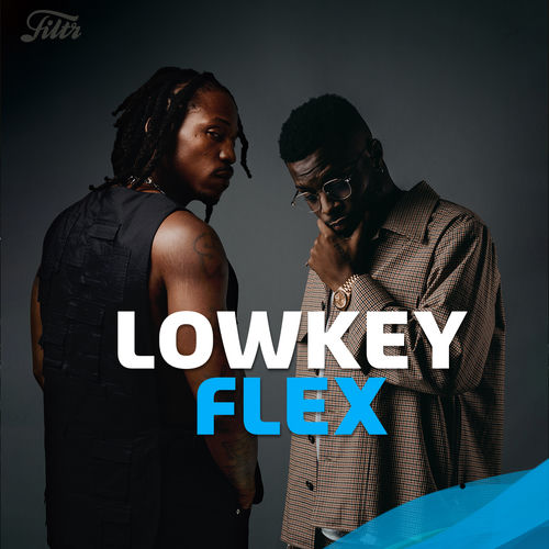 Lowkey Flex playlist | Listen on Deezer