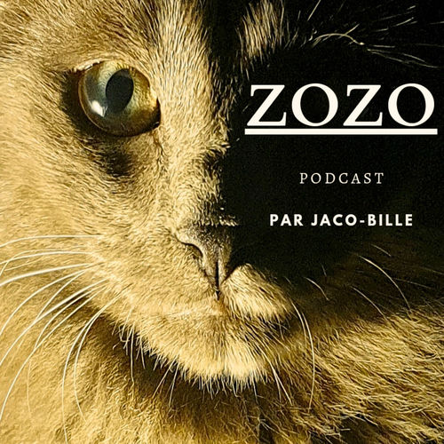 Listen to Zozo Podcast podcast | Deezer