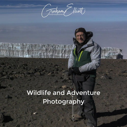 Listen to Wildlife and adventure photography podcast | Deezer